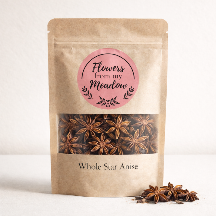 Whole star anise – aromatic botanical spice | Flowers from my Meadow ...
